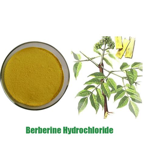 Phellodendron Extract