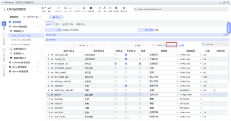 PDManer 如何切换数据库方言 龙凌云端 博客园