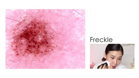 Woman Puts Her Makeup Under A Microscope Is Shocked By What She Finds