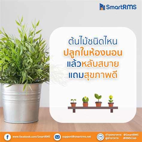 อยากมีมุม Smartrms โปรแกรมบริหารจัดการ หอพัก อพาร์ทเม้นท์