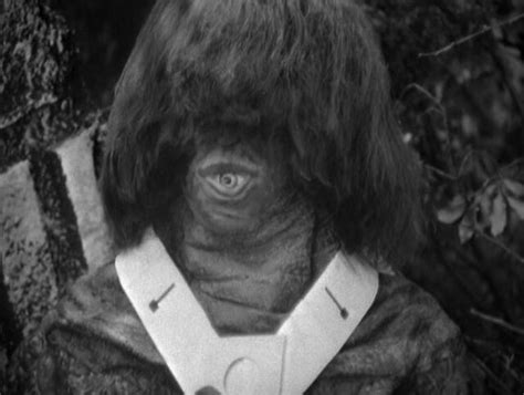 Monoid Tardis Wiki
