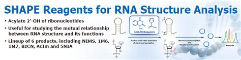 SHAPE Reagents For RNA Structure Analysis Tokyo Chemical Industry Co Ltd