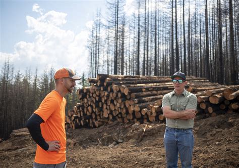 Nakia Creek Fire Burn Area ‘a Pretty Resilient Landscape The Columbian