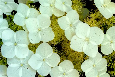 how looking at similarities rather than differences improves your relationships phil and maude