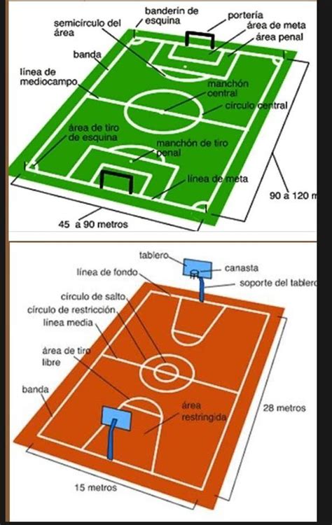 Fantasía guirnalda Ensangrentado la cancha de baloncesto y sus partes