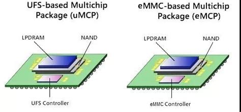 Analysis Of The Origin Of Umcp Emcp Will Become A Past Tense
