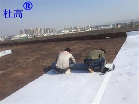 非沥青基高分子自粘防水卷材 屋面高分子自粘防水卷材 防水卷材厂家