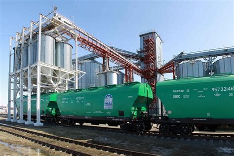 რუსული ხორბლის საექსპორტო გადასახადი 10 4 ით მცირდება Bpn