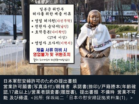 慰安婦法廃止の韓国市民団体が作成した わかりやすいポスター なでしこアクション Japanese Women For Justice