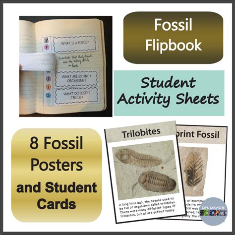 Fossils And Types Of Fossils Activities NGSS 3 LS4 1 Made By Teachers