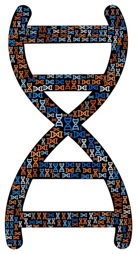Download Dna Helix Fractal Svg Freepngimg