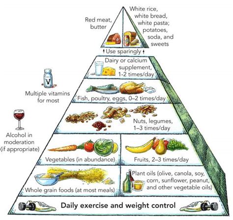 Is The Food Pyramid Wrong Why Corporations Purposely Misled Consumers Yourtango