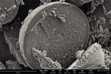 扫描电镜（扫描电子显微镜）的原理及主要用途解析 哔哩哔哩