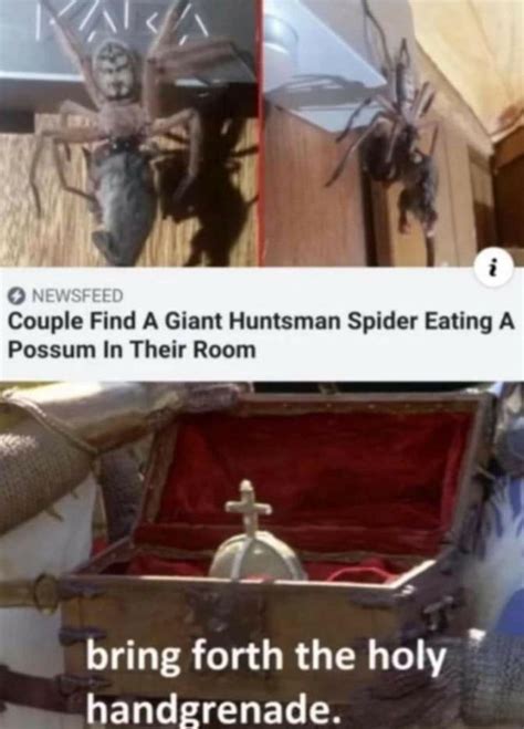 Discover 170 Meme Page And Funny Pictures Ideas On This Pinterest Board