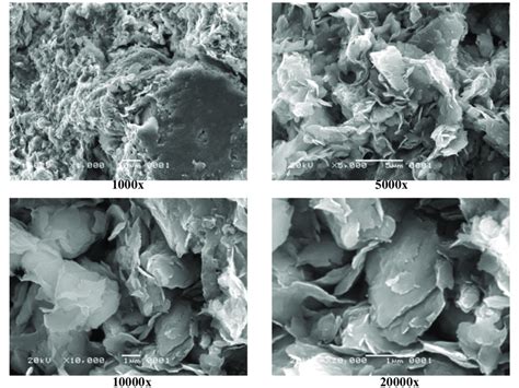 Sem Photographs Show Silica And Alumina Sheets Of The Smectite
