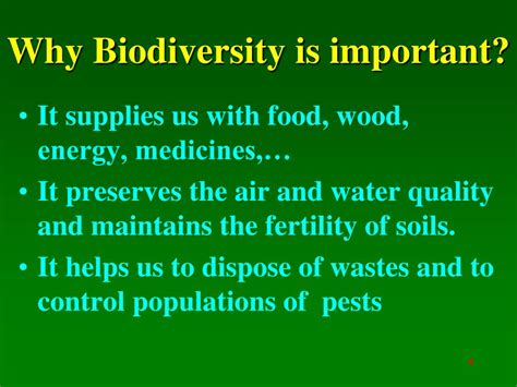 Why Is Biodiversity Important Vrogue Co