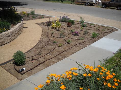 Exploring The Pros And Cons Of Drip Irrigation For Your Landscape