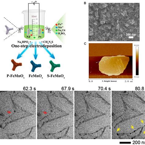 Synthesis Of 2d Materials By Cvd A Schematic Diagram Of The Cvd Download Scientific Diagram
