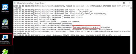 Preview Video Stream Failed Via IVMSClient Icarvisions