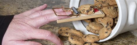 Seiu Caught With Its Hand In The Cookie Jaragain Freedom Foundation