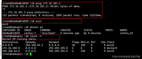 使用docker 容器 跨主机访问 实操访问别的服务器的docker Csdn博客