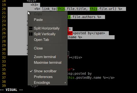 Copying Text Outside Of Vim With Set Mouse A Enabled Design Corral