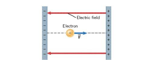 Solved An Electron Is Released From Rest At The Negative