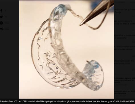 Self Assembly Hydrogel Polymers Historical Research Context Of