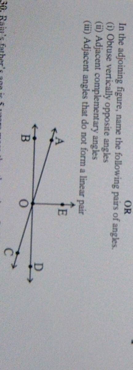 in the adjoining figure name the following pairs of angles i obruse