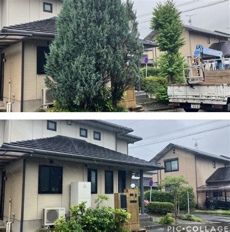 久留米市小森野での伐採作業｜ブログ｜久留米市近郊のお庭の手入れや剪定・造園｜宮原福樹園久留米店