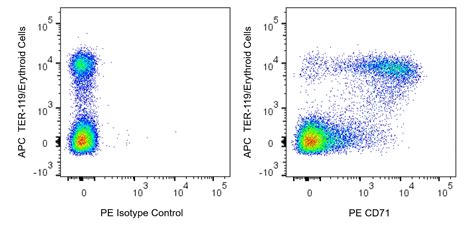 Pe Rat Anti Mouse Cd71