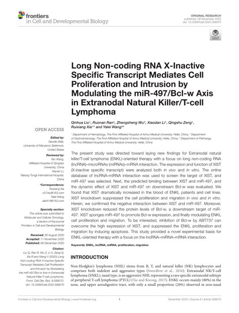 Pdf Long Non Coding Rna X Inactive Specific Transcript Mediates Cell