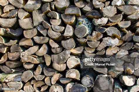Holz Texture Photos And Premium High Res Pictures Getty Images