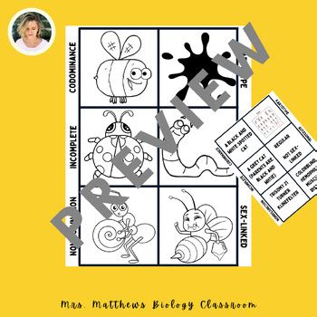 Bug Splat Game For Genetics Biology Unit 10 By Mrs Matthews Biology