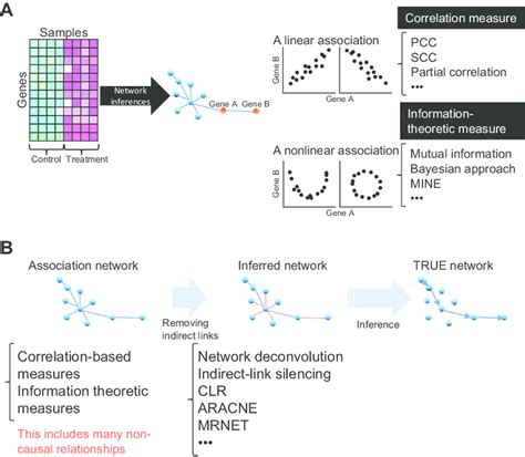 A Genegene Association Measure And Causal Inferences In Co Expression Download Scientific