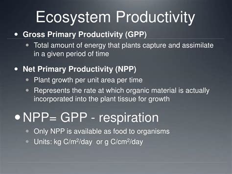 Ppt Ecosystem Productivity Powerpoint Presentation Free Download Id 2784781