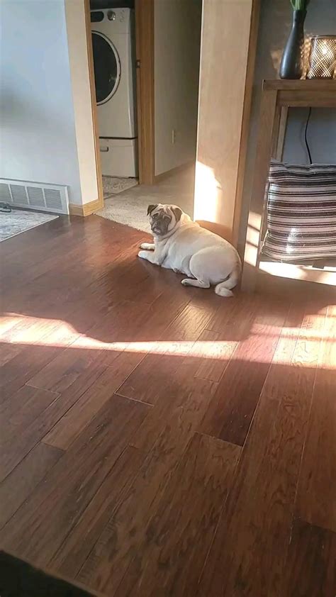 Warfighter Fabrication