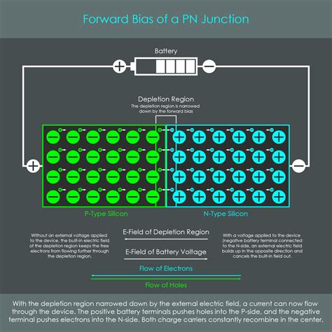 Data Bias In LLM And Generative AI Applications