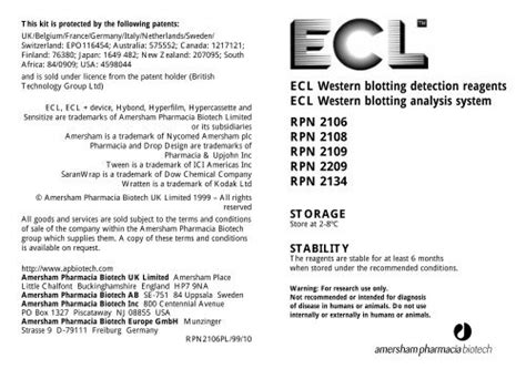 Ecl Western Blotting Detection Reagents Ecl Western Teachline