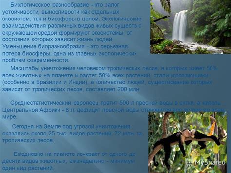 Презентация на тему Деградация окружающей среды Деградация