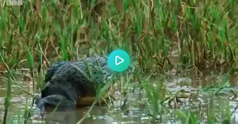 Its The Time Of The Tingy Of U Know That Day Thing Something