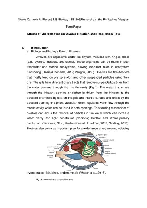 Pdf Effects Of Microplastics On Bivalve Filtration And Respiration Rate