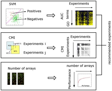 Three Step Schematic Of The Genome Scale Experiment Planning Download Scientific Diagram