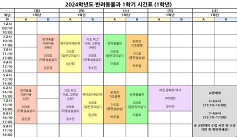 대학교 시간표 지식in