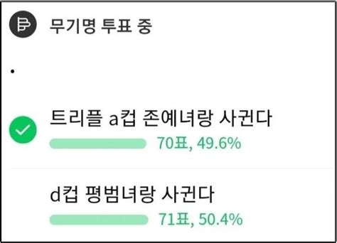 트리플a컵 존예녀 Vs 참젖핑두d컵 평범녀  포텐 터짐 최신순 에펨코리아