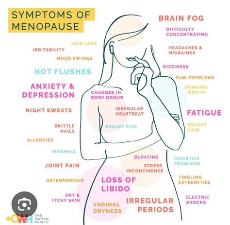 Unfiltered Menopause Support Group For Women