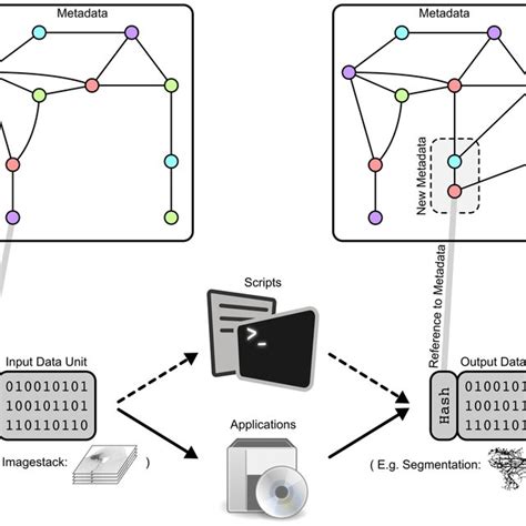 Data Units As Smallest Logical Entity For Specific Data Processing Download Scientific Diagram