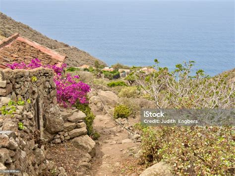 테 네리 페 0명에 대한 스톡 사진 및 기타 이미지 Istock
