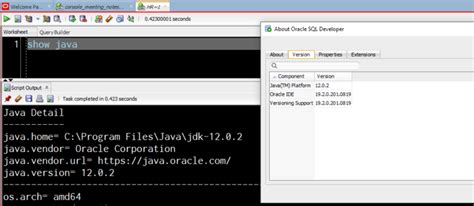 Moving Your Sql Developer Preferences Between Machines