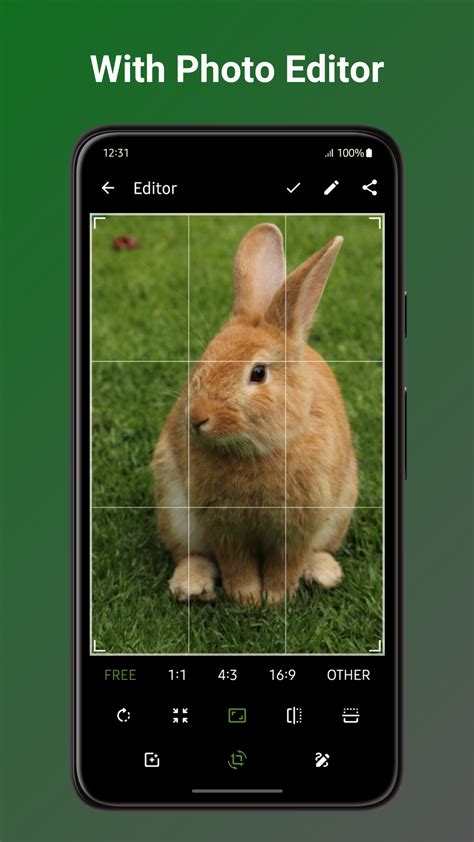 Fossify Gallery Gallery With Photo Editor No Ads Open Source